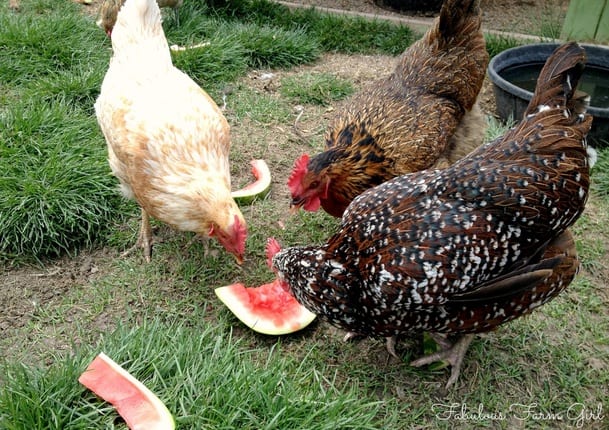 How To Pick A Perfect Watermelon | Fabulous Farm Girl