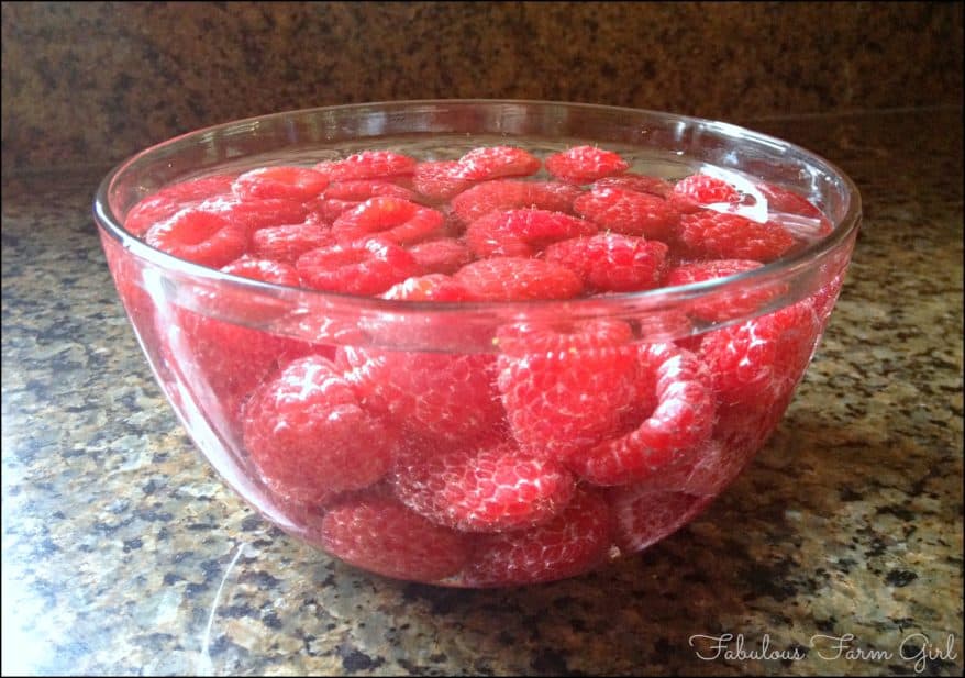 How To Make Your Own Produce Wash | Fabulous Farm Girl